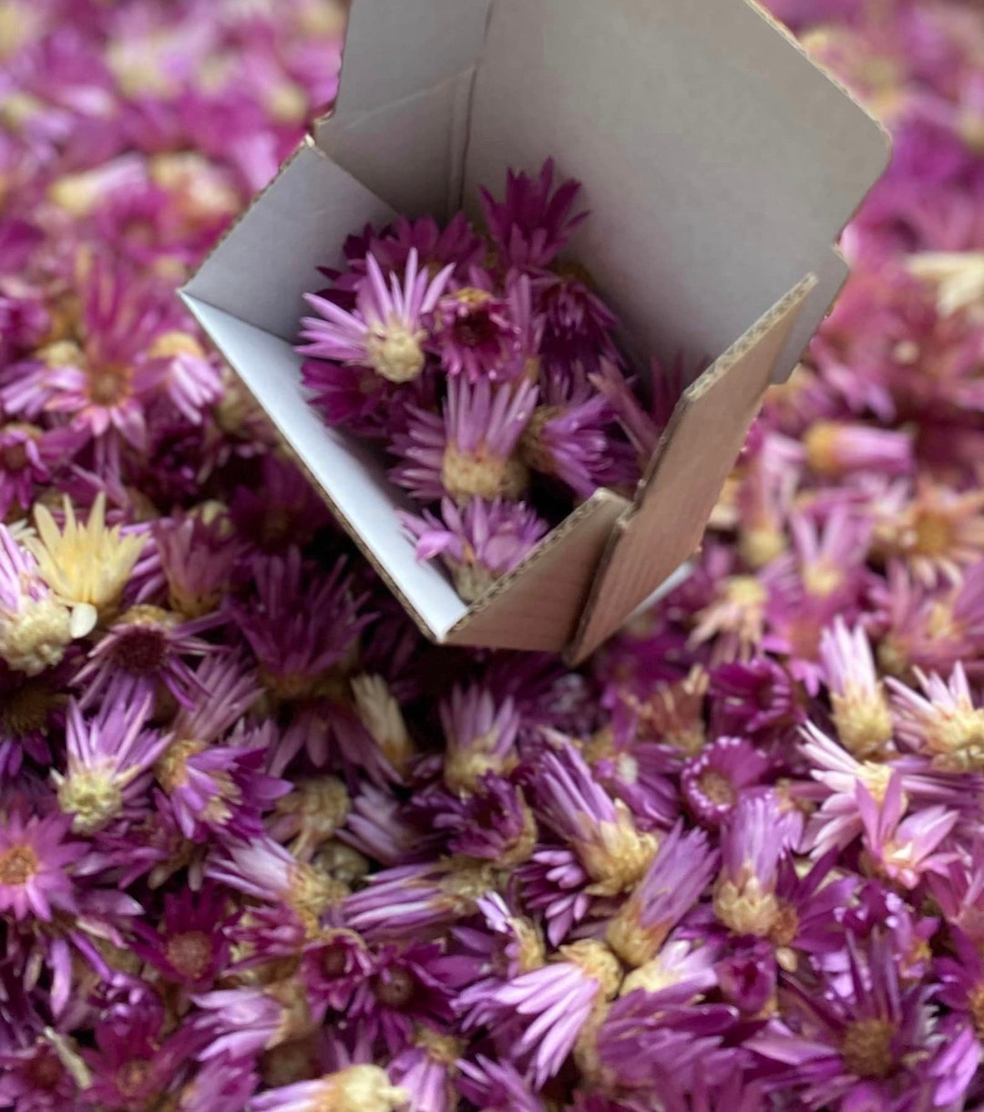 Dried Flower Small Heads Purple Real Dry Flower Petals Potpourri Candle ...