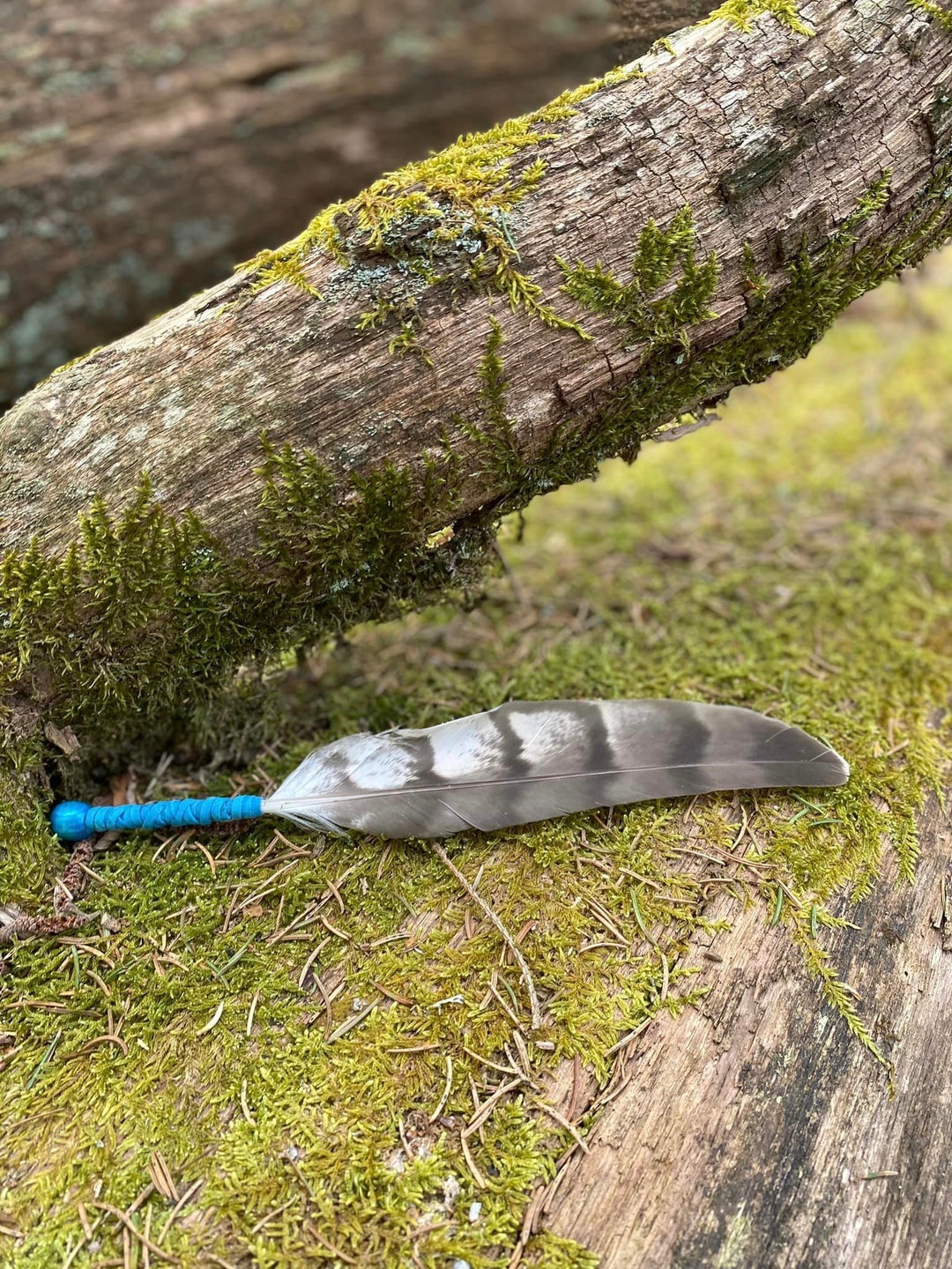 Hawk Smudge Feather Prayer Ceremonial Spiritual Feather - Etsy