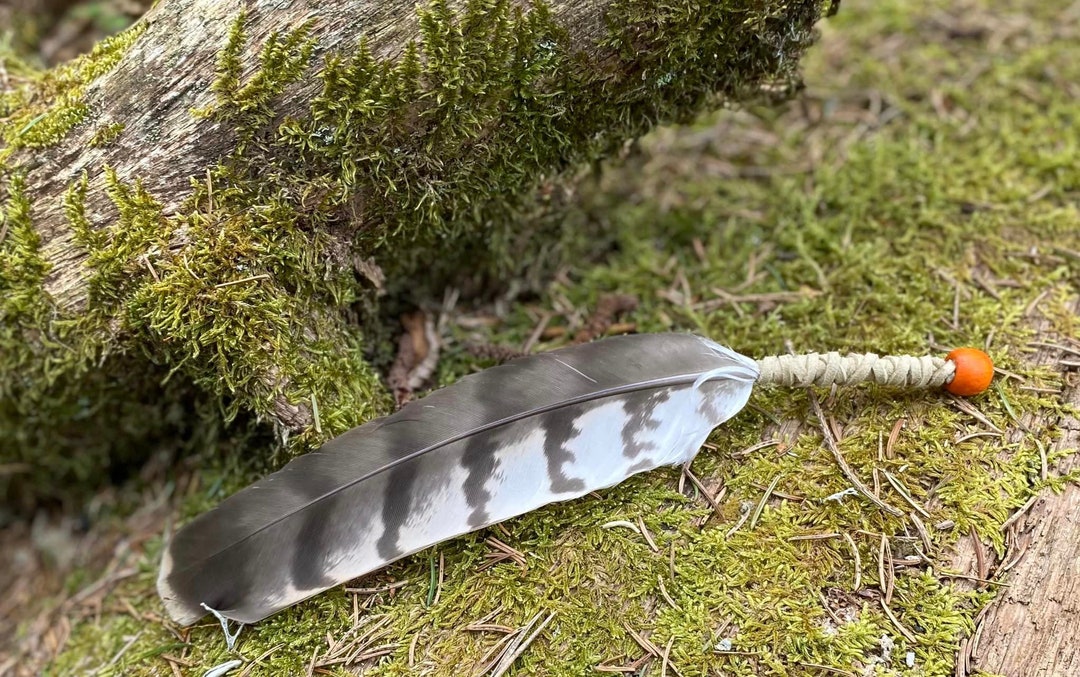 Hawk Smudge Feather Prayer Ceremonial Spiritual Feather - Etsy