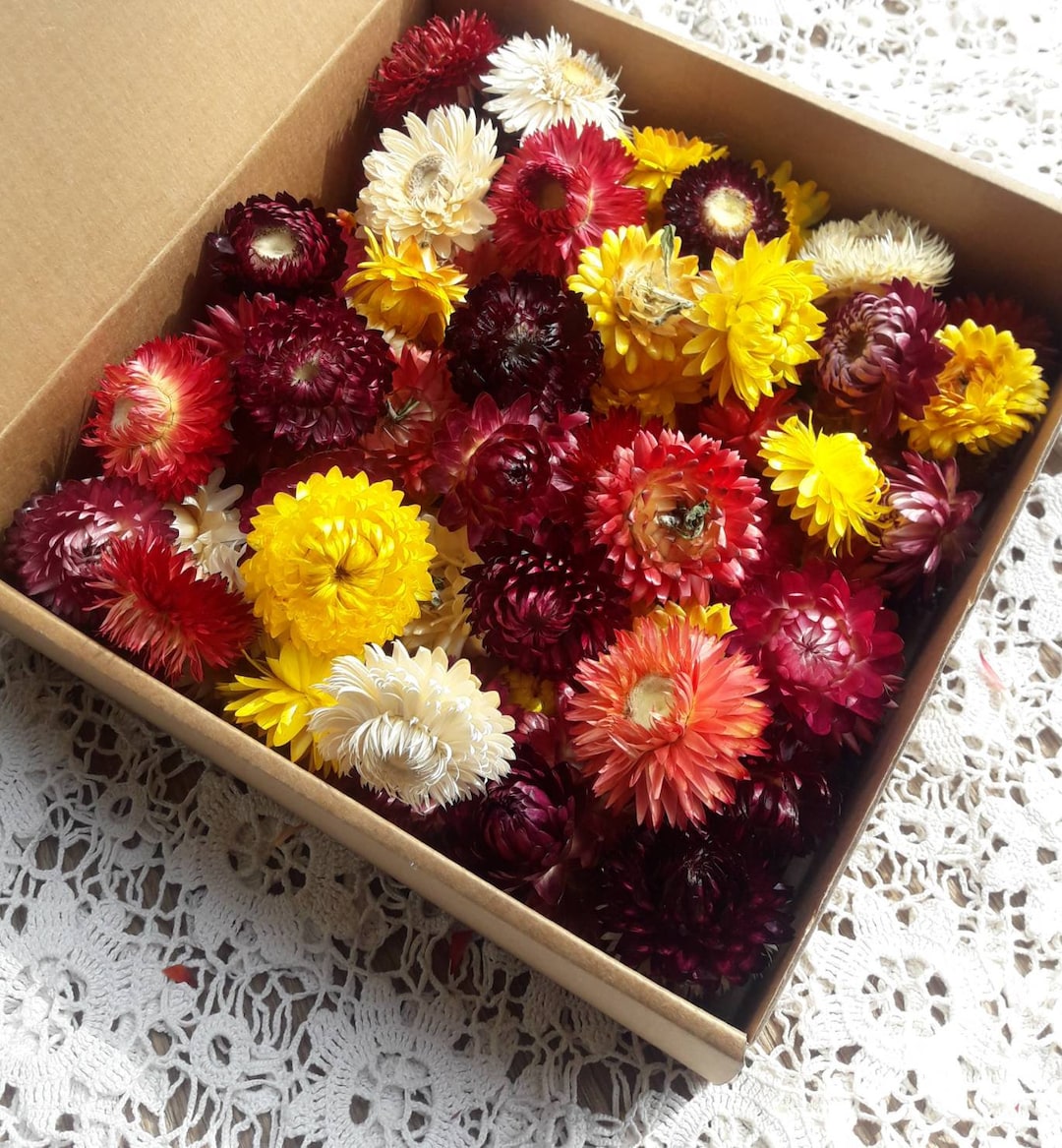 100 Organic Mixed Color Dried Flowers Straw Flower Wedding Decor Set of ...