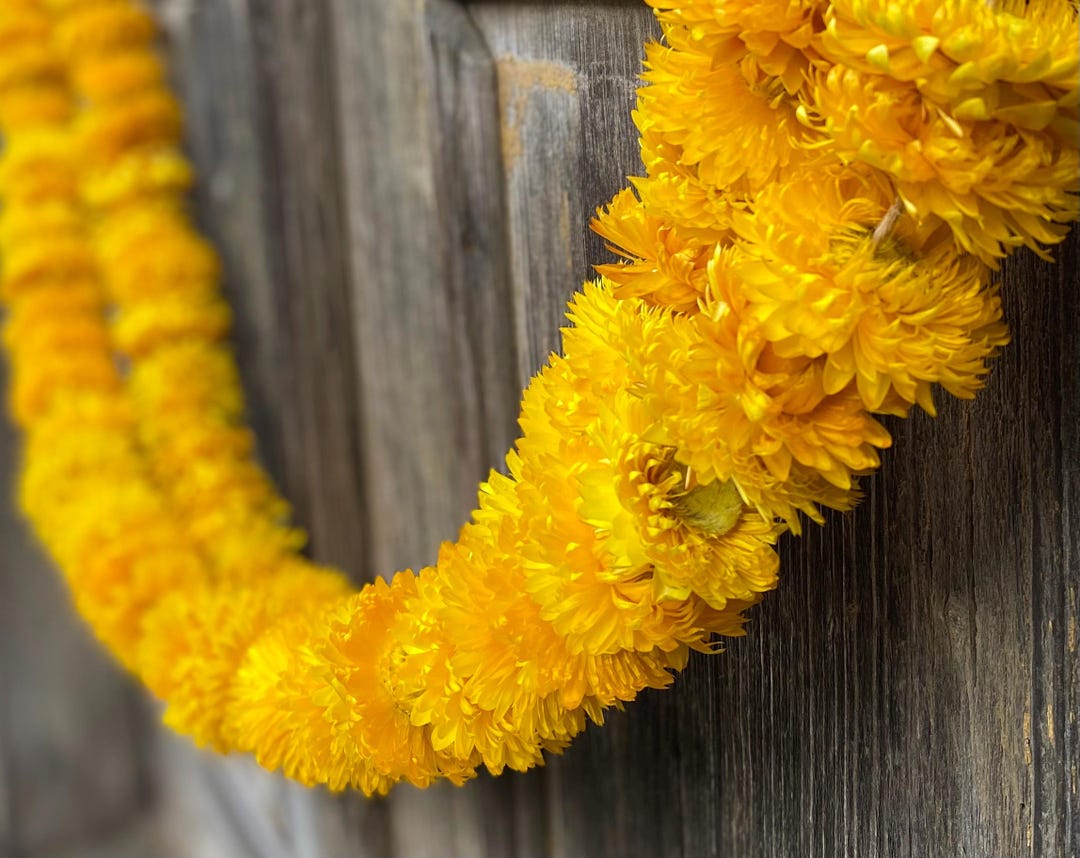 50 Dried Flower Garland Dry Strawflowers Garland Floral Wall Deco Boho ...