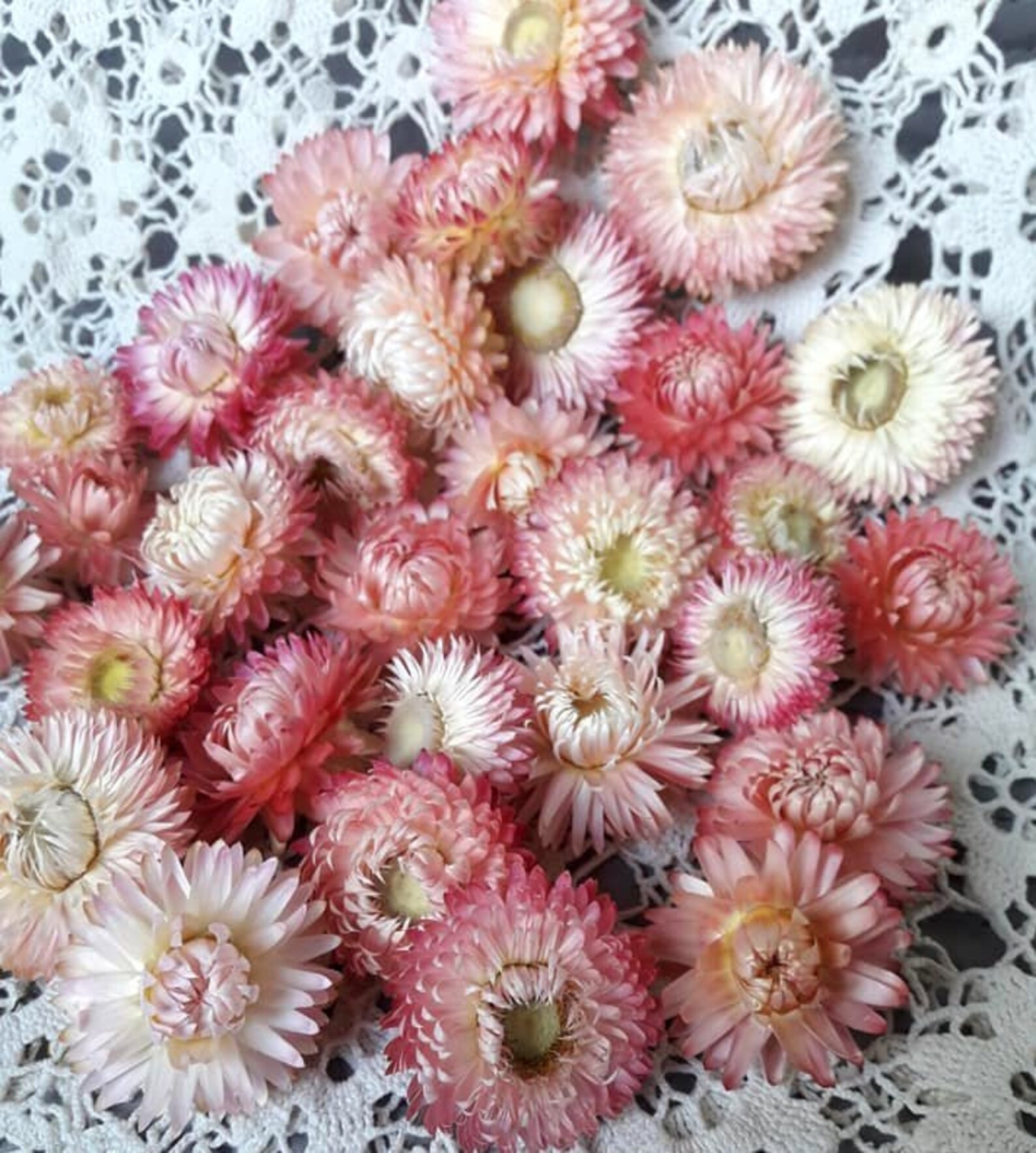 30 Organic Dried Light Pink Strawflowers, Wedding Confetti Decor - Etsy