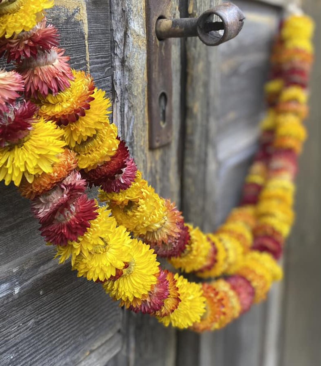 50 Dried Flower Garland Dry Strawflowers Garland Floral Wall Deco Boho ...