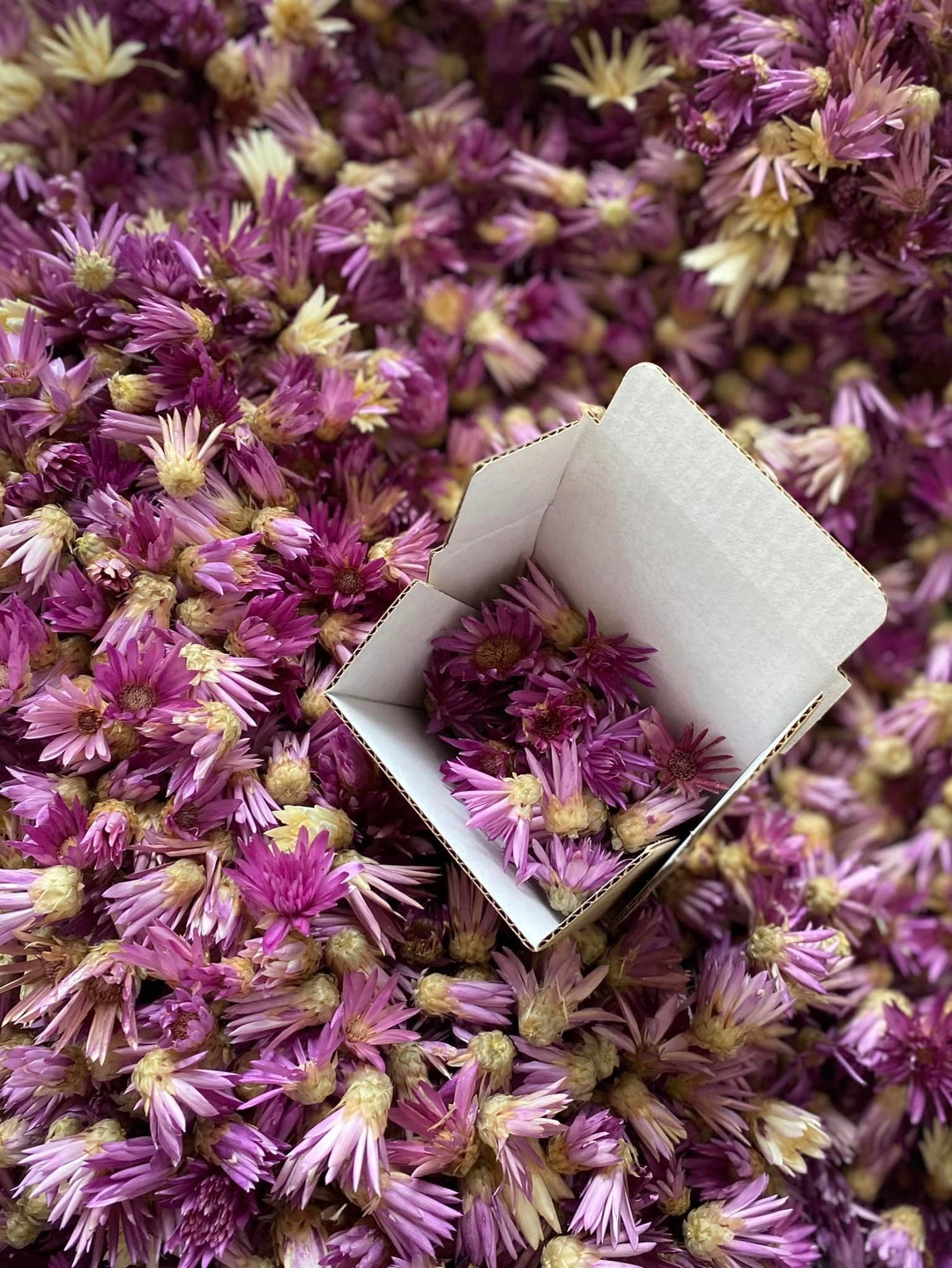 Dried Flower Small Heads Purple Real Dry Flower Petals Potpourri Candle ...