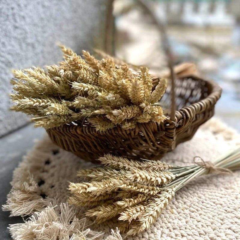 Dried Wheat - Etsy