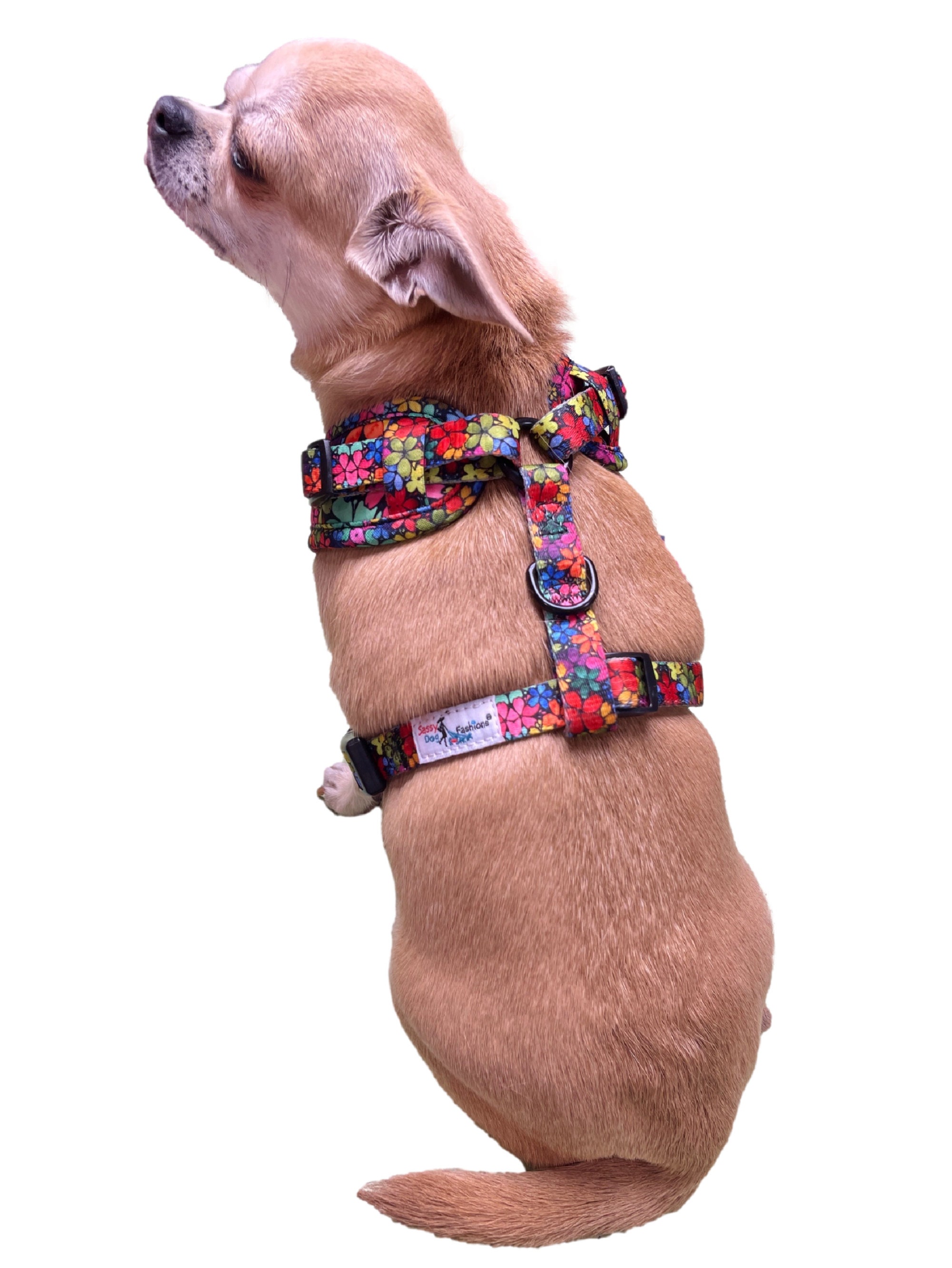 Personalized Floral Dog Harness and Leash Set Fully - Etsy