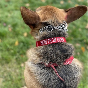 Best TRUMP 2024 Dog Collar, MAGA Collar All Sizes Cat to XXL, Trump ...