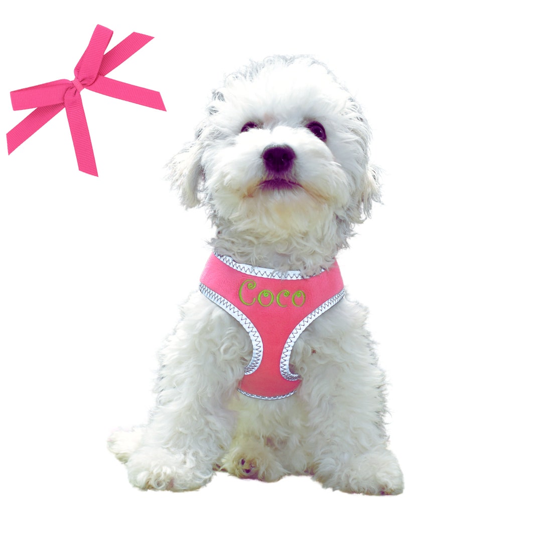 Personalized Girl Pink DOG HARNESS and Leash Set, No Pull Dog Harness ...