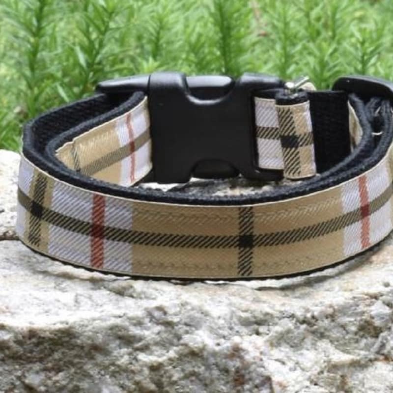 Male Dog Valentine Collar - Etsy
