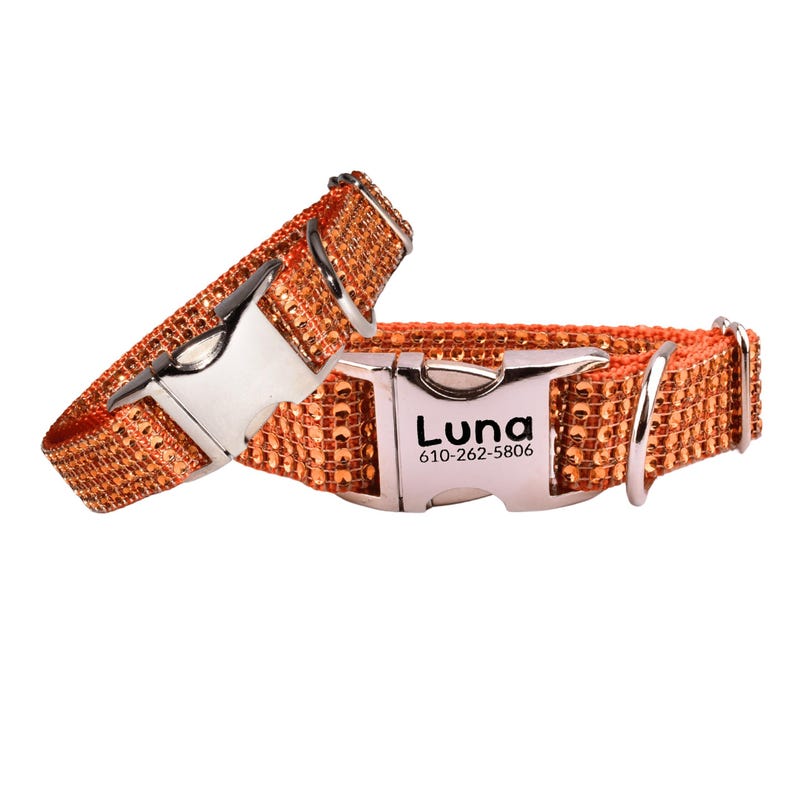 Poodle Dog Collar - Etsy