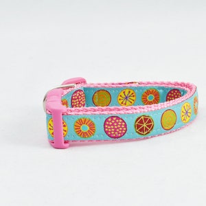 Stunning Designer DOG COLLARS in All Sizes - Euro Circles on Turquoise ...