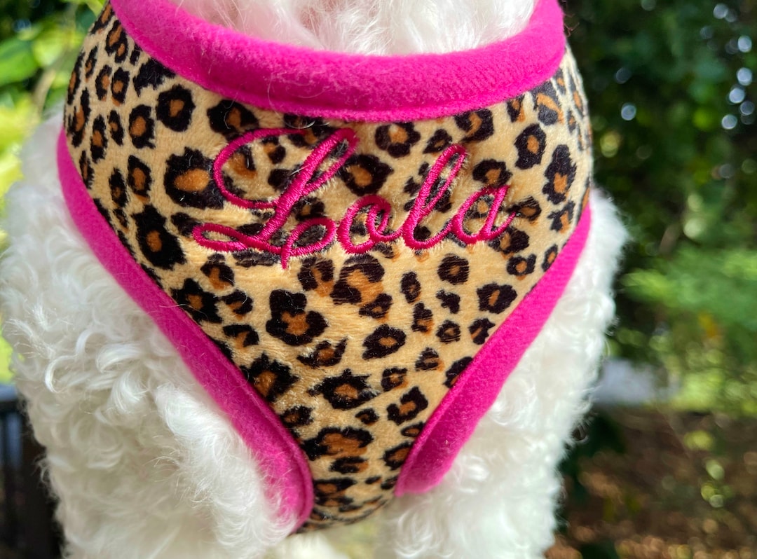 Custom Embroidered DOG Harness Girl, Pink Luxury Dog Harness Leash Set ...