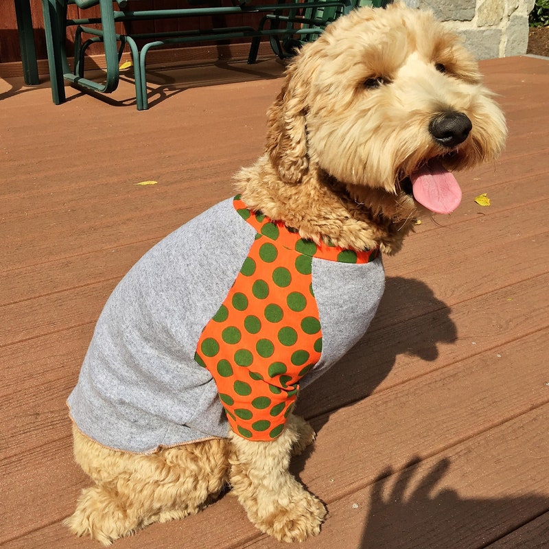 Large Dog Clothes - Etsy