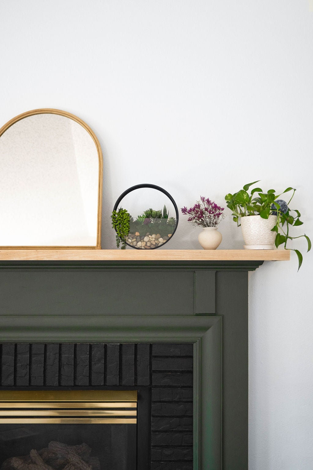 Wall Terrarium Kit - Etsy