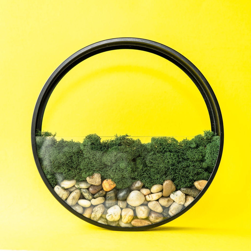 Wall Terrarium Kit - Etsy