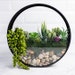 Wall Terrarium Kit - Etsy
