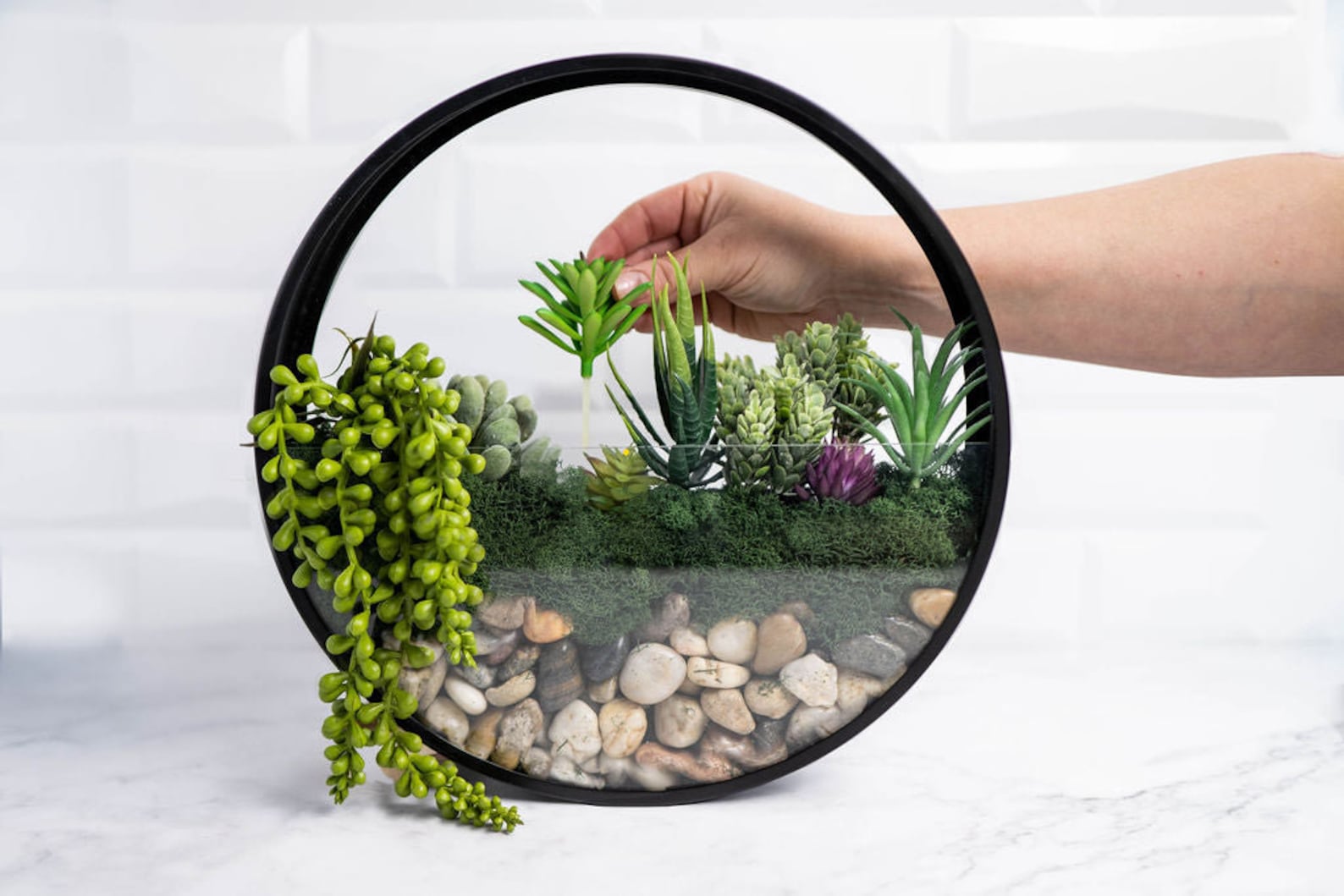 Wall Terrarium Kit - Etsy