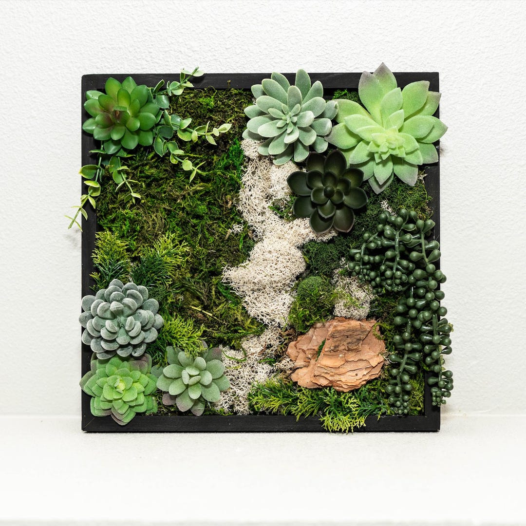 Moss Wall Kit - Etsy