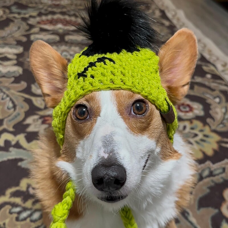 Frankenstein Dog Costume - Etsy