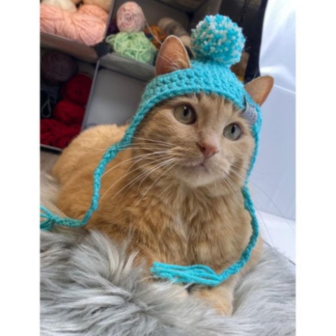 Simba Beanie Cat Beanie Dog Beanie Kitty Beanies Pupper Beanies Pet ...