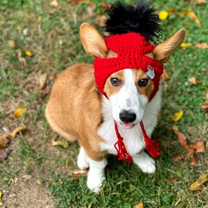 Corgi Beanie - Dog Beanie - Corgi Hats - Dog Hat - Dog Beanie - Fur ...