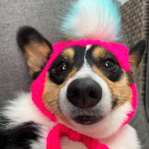 Corgi Beanie - Dog Beanie - Corgi Hats - Dog Hat - Dog Beanie - Fur ...
