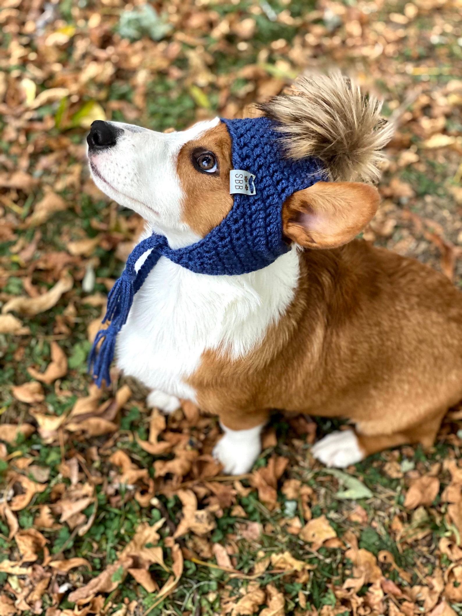 Corgi Beanie Dog Beanie Corgi Hats Dog Hat Dog Beanie | Etsy