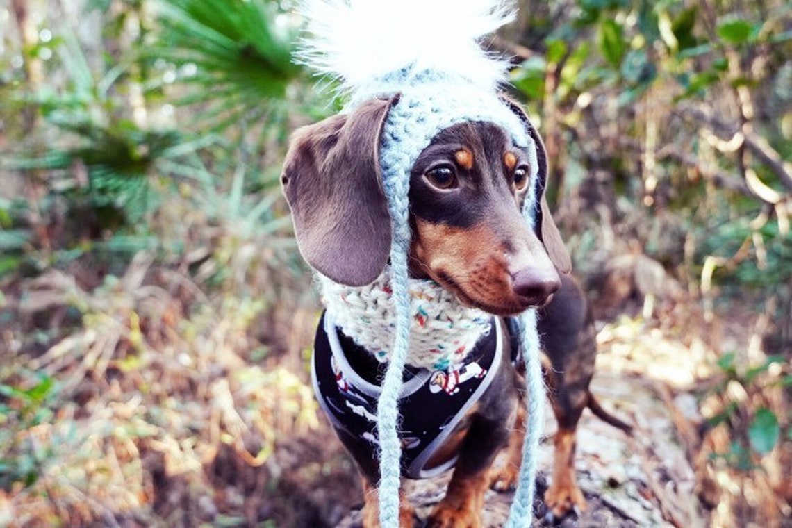 Dog Beanie Dog Clothes Dog Hat Pet Beanies Fur Baby | Etsy