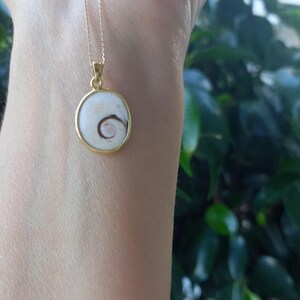 Shiva Eye Shell Necklace, 14K Solid Yellow Gold, Saint Lucia Evil Eye ...