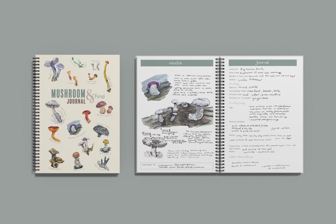 Mushroom Foraging Journal & Sketchbook | Fungi Identification Logbook ...