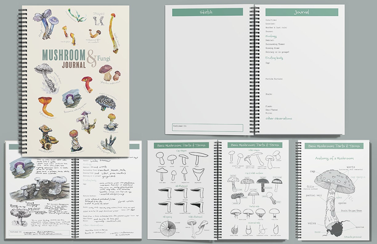 Mushroom Foraging Journal & Sketchbook | Fungi Identification Logbook ...