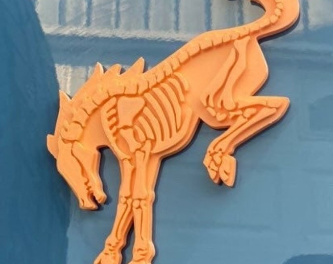 Ford Bronco “skeleton” Emblem and Badge / Calling All Bronco and Bronco ...