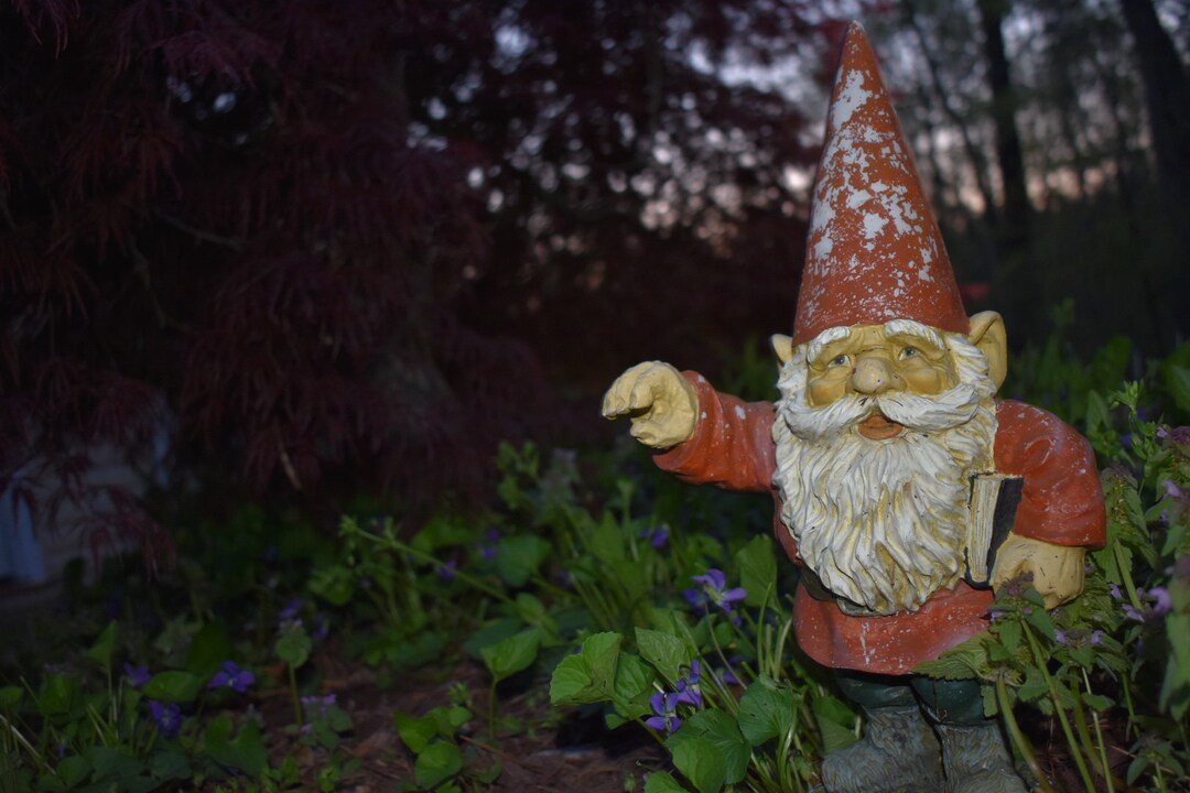 Garden Gnome at Sunset Photo Digital Download - Etsy
