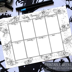 Printable Moth Weekly Planner, Moth Daily Diary, Coloring Moth ...
