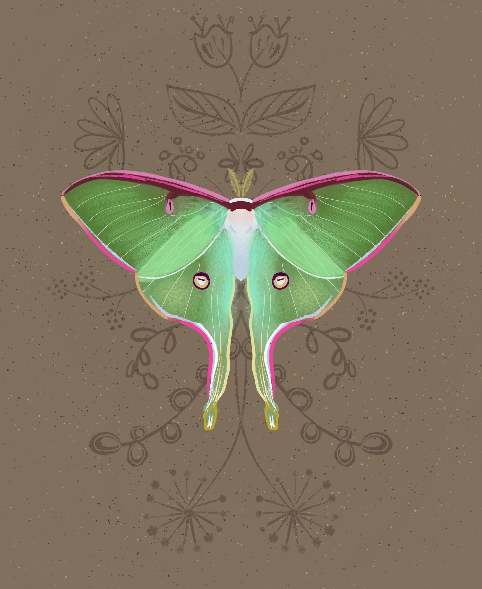 Luna Moth Print | Insect Art | Wildlife Art | Animal Painting - Etsy