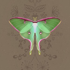 Luna Moth Print | Insect Art | Wildlife Art | Animal Painting - Etsy