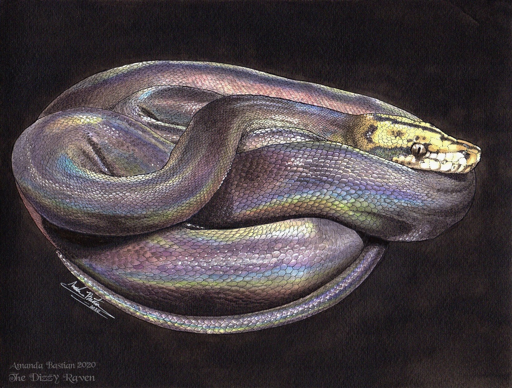 Iridescent Reticulated Python Art Prints | Etsy