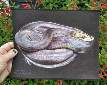 Reticulated Python - Etsy