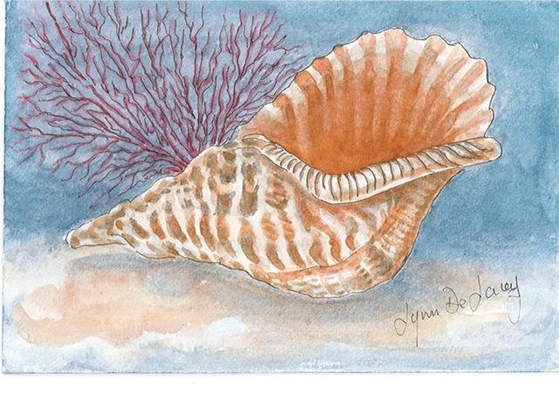 Original W/C the Conch Shell Triton - Etsy