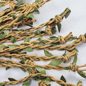 Vine Whip: Faux Natural BDSM Toy for Cosplay - Etsy