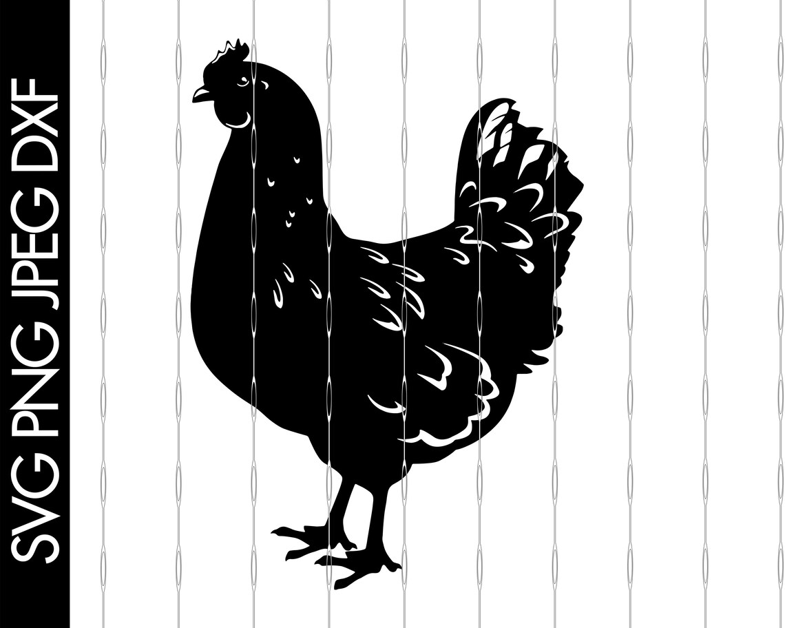 Chicken SVG / JPEG / PNG / Dxf Files Digital Download for Cricut - Etsy