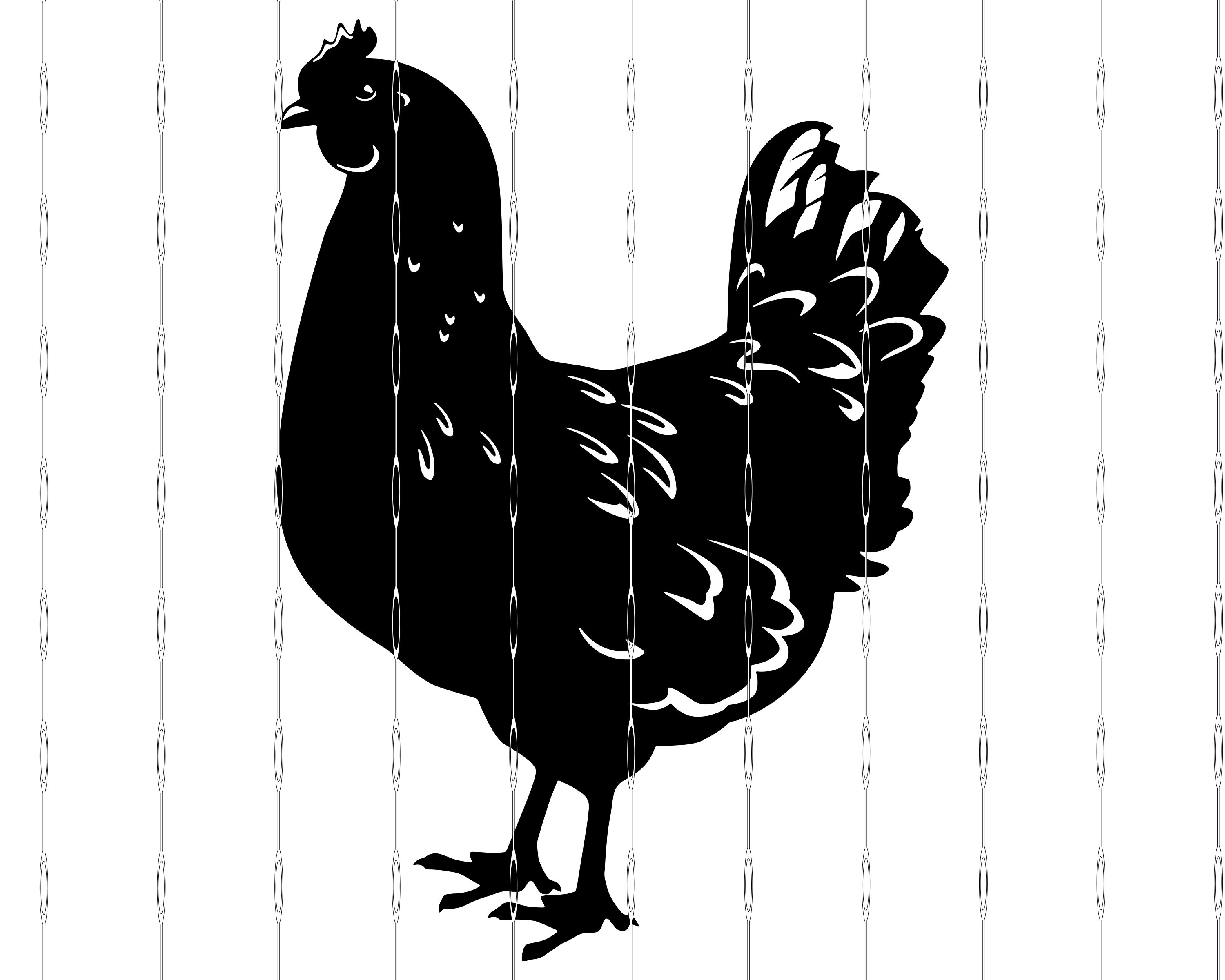 Chicken SVG / JPEG / PNG / Dxf Files Digital Download for Cricut - Etsy