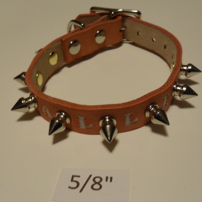 Spiked Dog Collar - Etsy
