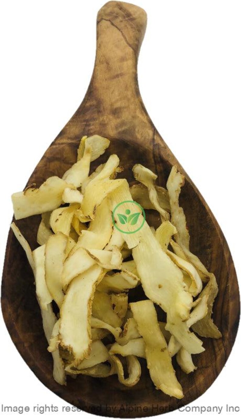 Solomon's Seal Root Whole - Etsy