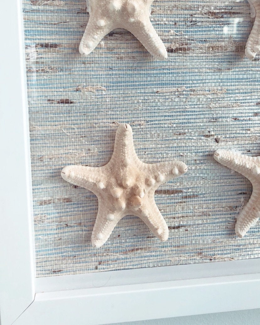 Starfish Wallpaper Shadowbox Frame - Etsy
