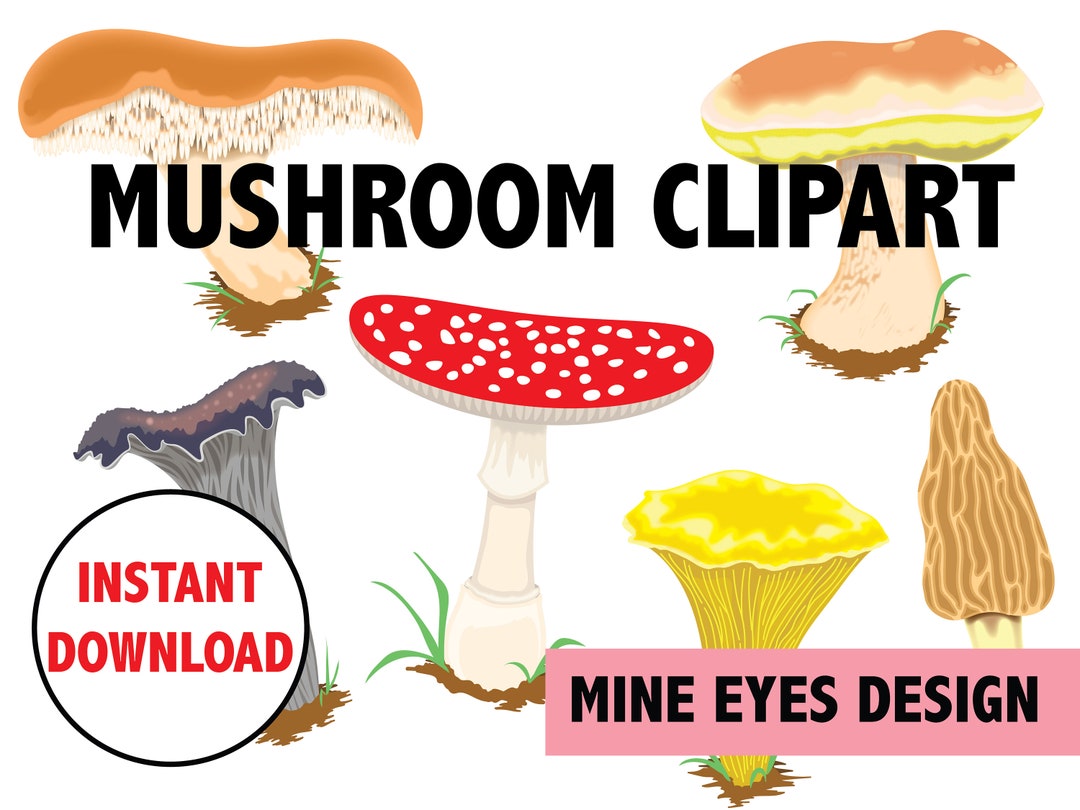 MUSHROOM CLIPART Woodland Forest Forager Fungi Icons Printable Foraging ...