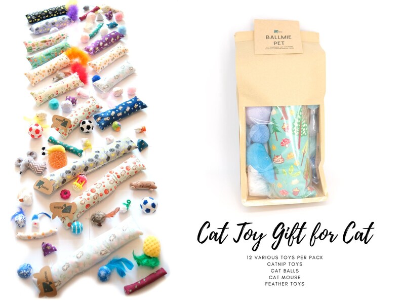 Cat Toy Variety Pack: Catnip, Balls, Mice, Feathers (12 Piece) - Etsy