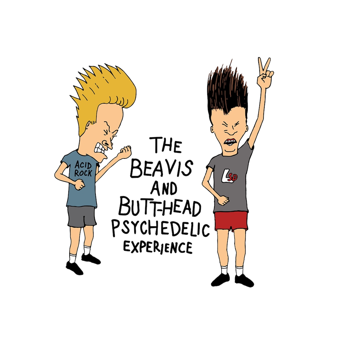 Beavis and Butthead Blooter Art LSD Print Quality - Etsy