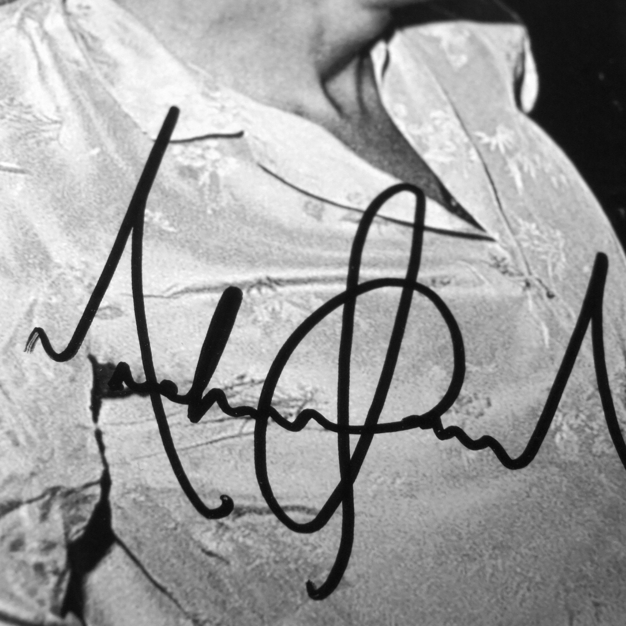 Freddie Mercury Queen Michael Jackson Autograph Photo Autograph Photo ...