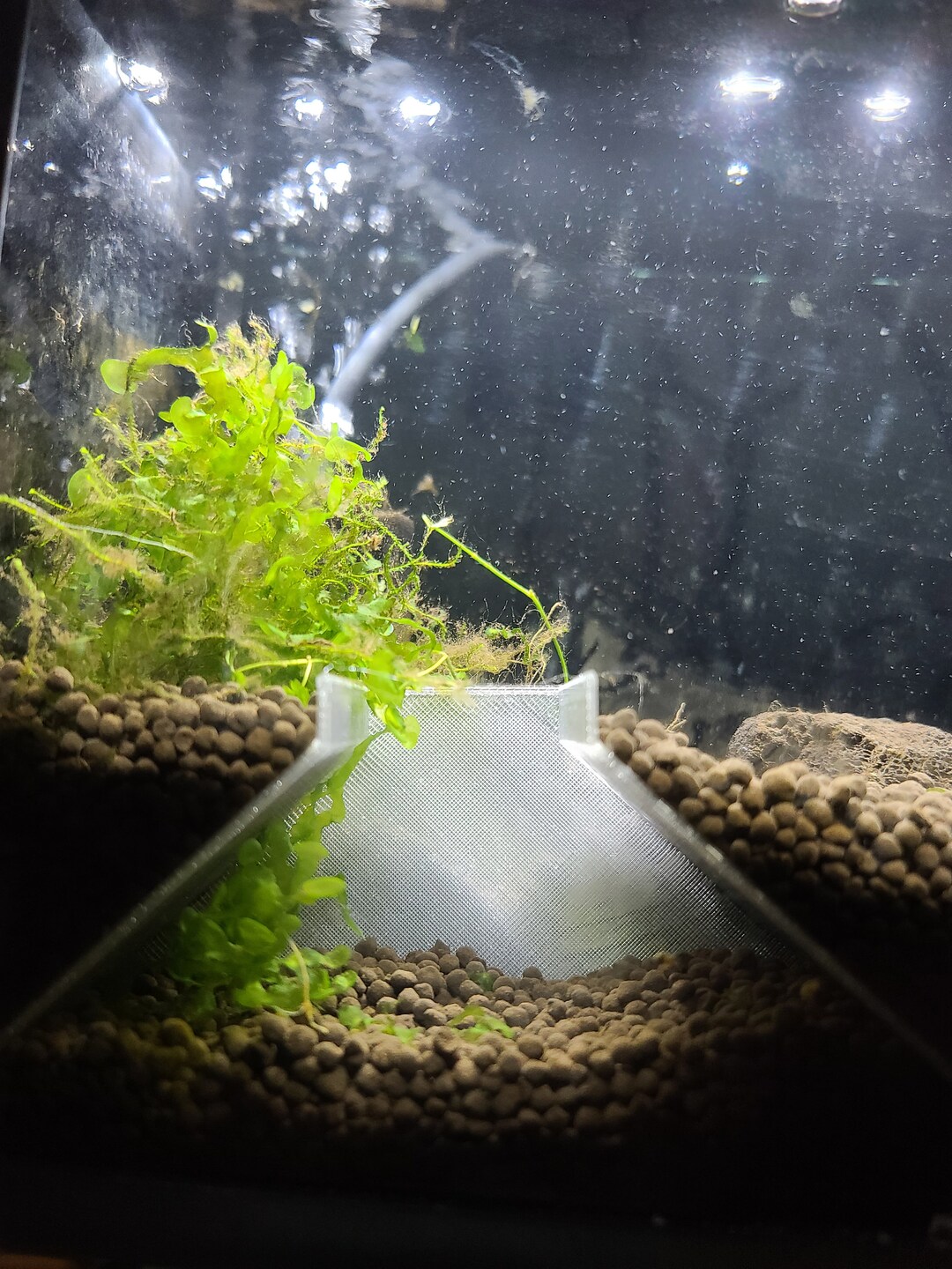 Triangle Cave for Fish/crustaceans - Etsy